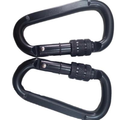China Steel Auto Lock D-Shaped Carabiner For Camping Hiking Yoga Rigging, Rescue, Industrial for sale
