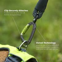 China camping sling swivel carabiner hook 4KN spring carabiner hook for dog leashes for sale