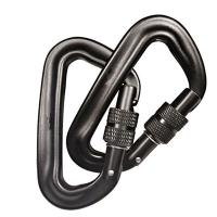 China Factory direct sales custom environmental protection aluminum D shaped keychain carabiner for sale