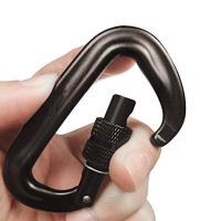 China Factory direct sales custom environmental protection aluminum D shaped keychain carabiner for sale