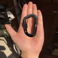 China Factory direct sales custom environmental protection aluminum D shaped keychain carabiner for sale