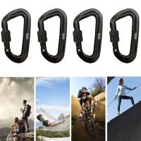 China Factory direct sales custom environmental protection aluminum D shaped keychain carabiner for sale