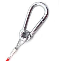 China Developing design D Ring Carabiner Key Chain in Metal Quality for many way used for sale
