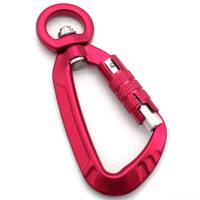 China Developing design D Ring Carabiner Key Chain in Metal Quality for many way used for sale