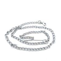 China Stainless Steel Dog Chain Leash Steel with Clip Lock Surya Original Chokechain for sale