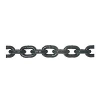 China NACM2010 GRADE 80 ALLOY CHAIN for sale