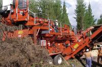 China Debarking Chain for sale