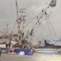 China Tuna Chain for sale