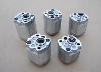 China CBKA Gear Pump High Pressure Small Displacement for Hydraulic Power Units and Hydraulic System CBKA-F1.3F CBKA-F3.2F CBK for sale