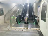 China Escalator Moving Walks For Shopping Mall Airport Station High End Elevator for sale