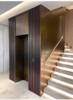 China Elevator Factory Residential Villa Home Lift Elevator Passenger Lift for sale