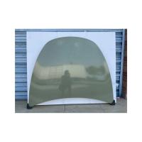 China Model 3 Series Electrophoretic Primer Aluminum Hood Panel OEM 1081390E0C Auto Parts for sale