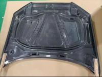 China 2009-2019 Audi A3 S3 RS3 Carbon Fiber Cover with RS3 LMS Design and OE NO. 8T0823029H for sale