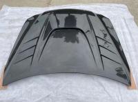 China Carbon Fiber Modified Rear Tail Door for Lexus IS Series IS300 IS250 IS200 160*110*14 for sale