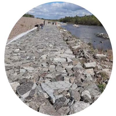 China Low Iron Wire Mesh 2x1x1 Hexagonal Gabion Stone Hot Galvanized for sale