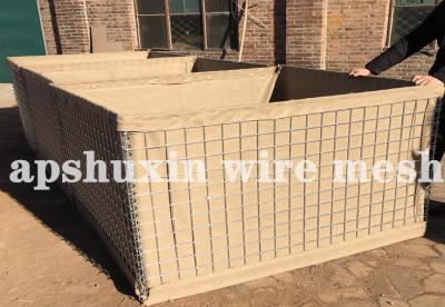 China Mesh 3