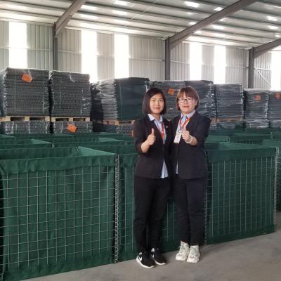 China Standard Size Galvanized Hesco Defensive Barrier SX-19  corrosion proof for sale
