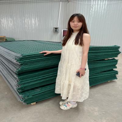 China Galvanized Metal Cage 5mm Defensive Barrier Bastion For Protection for sale