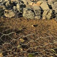 China 3.0mm 1x1x1m Gabion Box Retaining Wall Galvanised for sale