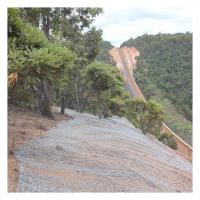 China High Tensile Galvanised Gabion Baskets 80x100mm Slope Protection for sale