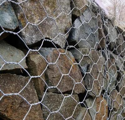 China Shuxin Hot Galvanized 60*80mm Hole 2.7mm Wire Mesh Gabion Basket For Flood Control for sale