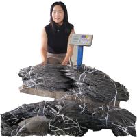 China Inconspicuous Steel Wire Mesh As Fencing Obstacle Anti Tank Used In Modern Warfare for sale