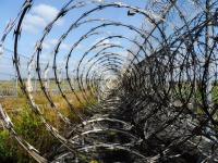 China Galvanized Security Fencing Concertina Price Anti Climb Blade Barbed Wire Prison Razor Barbed Wire for sale