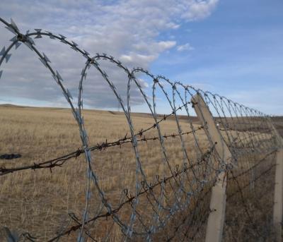 China Low Prices Prison Mesh Fence Razor Barbed Tape Hot Dipped Galvanized Cbt65 Bto30 Bto-22 for sale