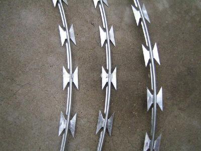 China Galvanized Razor Barbed Wire Roll Direct Supply for High Fence Security Applications for sale