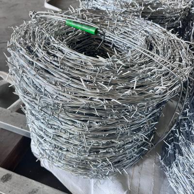 China 1.6mm 500m 25kgs/Roll Galvanized Barbed Wire Hot Dipped for sale