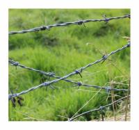 China Wholesale Low Cost Electro Galvanised Steel Barbed Wire For Household for sale