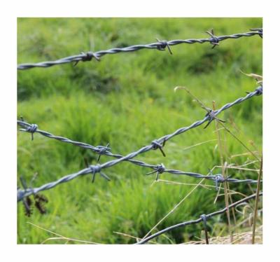 China Wholesale Low Cost Electro Galvanised Steel Barbed Wire For Household for sale