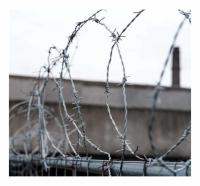 China Hot Dipped Galvanized Fencing High Tensile Barbed Wire 1.6Mm 300M for sale