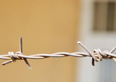 China Use Of Prison Walls Double Twisted Hot Dipped Galvanized Barbed Wire Coils for sale