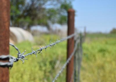 China Use Of Prison Walls Anti Climb Double Strand Reverse Twist Barbed Wire for sale