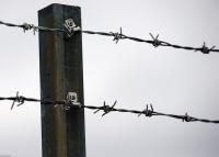 China Use Of Prison Walls Anti Climb Galvanized Barbed Wire Roll for sale
