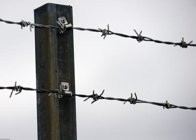 China Use Of Prison Walls Anti Climb Galvanized Barbed Wire Roll for sale