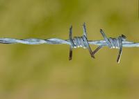 China Use Of Prison Walls Double Twisted PVC Coated /Galvanized Barbed Wire Coils for sale