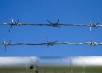 China Use Of Prison Walls Single Strand Hot Dipped Galvanized Steel Barbed Wire for sale