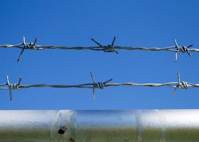 China Use Of Prison Walls Single Strand Hot Dipped Galvanized Steel Barbed Wire for sale