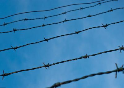 China Use Of Prison Walls 50kg Double Strand Traditional Twist Barbed Wire Roll for sale