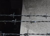 China Garden Anti-Theft Double Strand Traditional Twist Barbed Wire Fence for sale