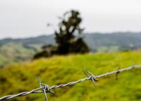 China Garden Anti-Theft Single Strand Hot Dipped Galvanized Barbed Wire Price Per Roll for sale