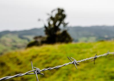 China Garden Anti-Theft Single Strand Hot Dipped Galvanized Barbed Wire Price Per Roll for sale