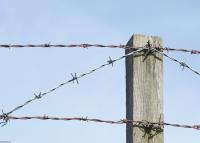 China Garden Anti-Theft Single Strand Galvanized Steel Barbed Wire Fence for sale