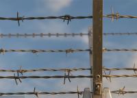 China Garden Anti-Theft Anti Climb Single Strand PVC Coated Iron Barbed Wire for sale