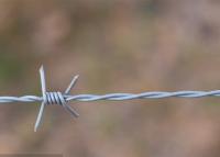 China Garden Anti-Theft Double Strand Traditional Twist Electro Barbed Wire Coils for sale