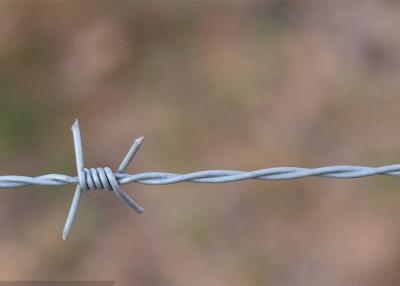 China Garden Anti-Theft Double Strand Traditional Twist Electro Barbed Wire Coils for sale