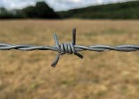 China Garden Anti-Theft Double Twisted Hot Dipped Galvanized Barbed Wire Coils for sale