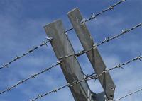 China Garden Anti-Theft Anti Climb Double Strand Reverse Twist Barbed Wire for sale